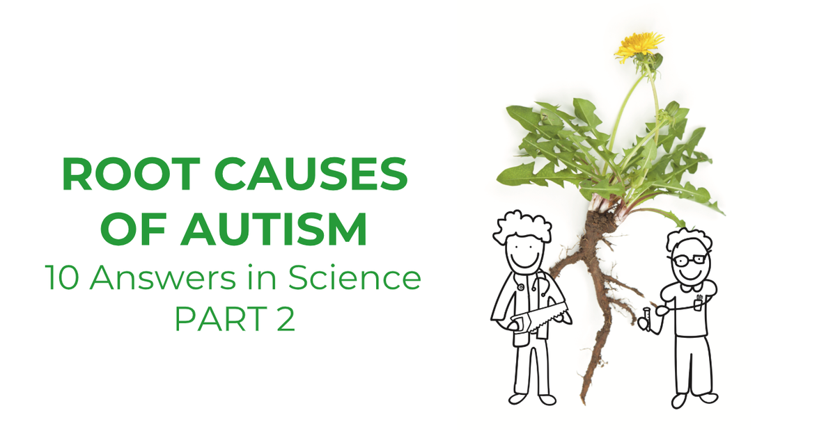 Root Causes of Autism Part 2 – BrocElite