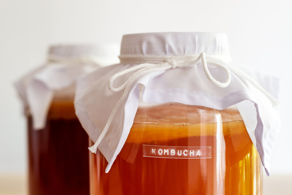 5 Things to Consider When Buying Kombucha – BrocElite