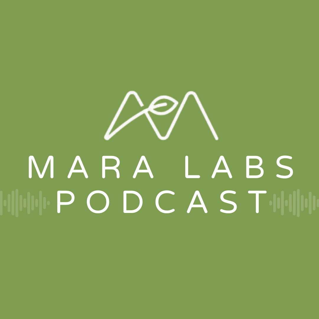 Podcast What Is Healthspan And How Can You Improve It BrocElite Podcast What Is Healthspan And How Can You Improve It BrocElite